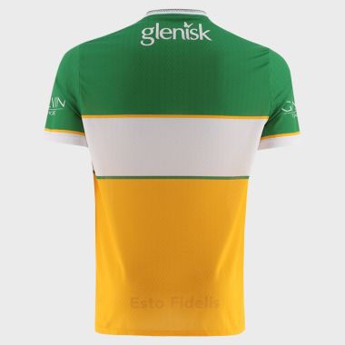 Offaly GAA Home Jersey 2026 | O’Neills
